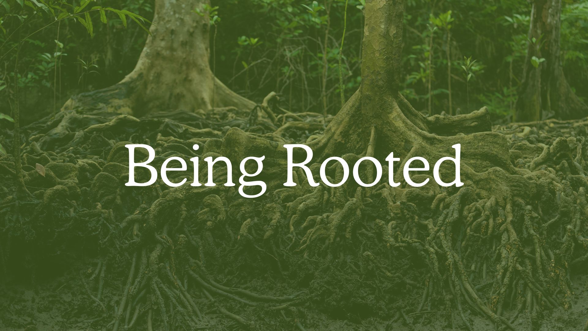 Being Rooted